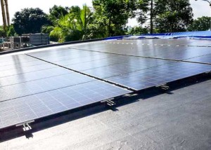 About Us – Swimsol