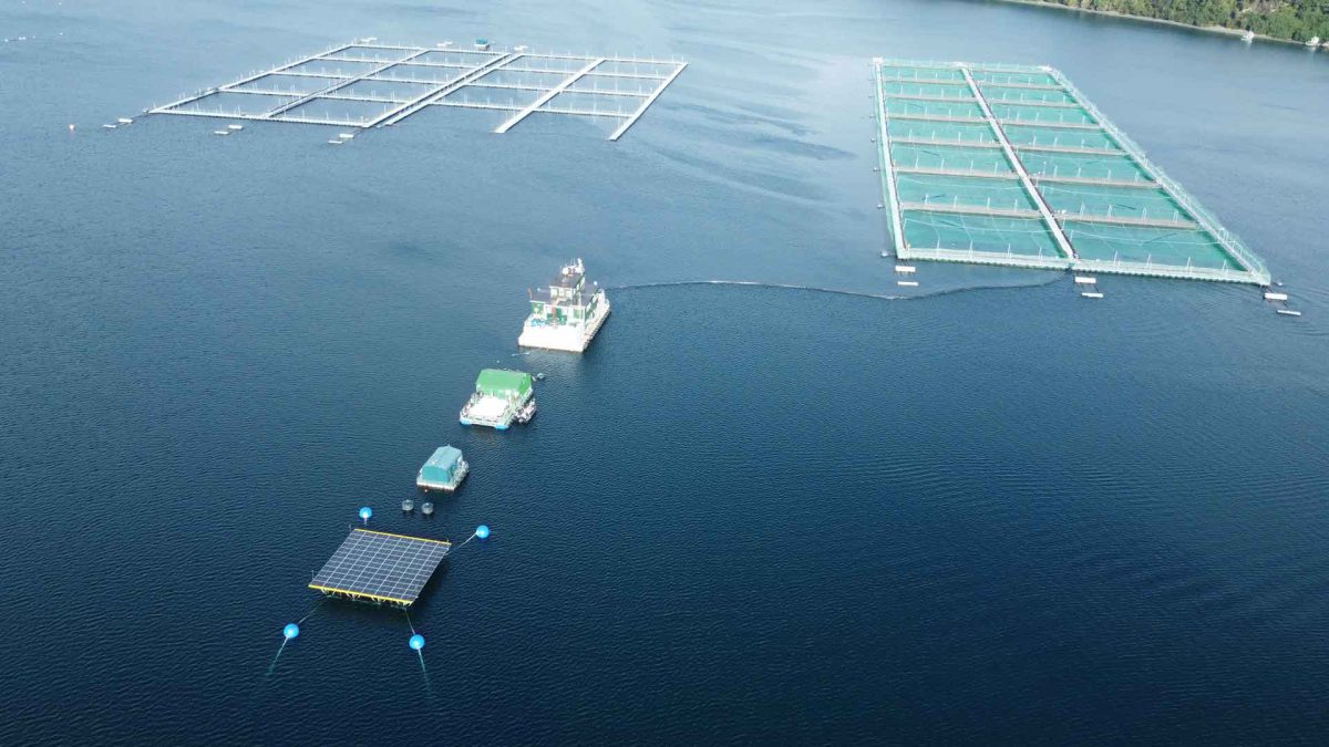 Offshore floating solar at a fish farm in Chile – Swimsol